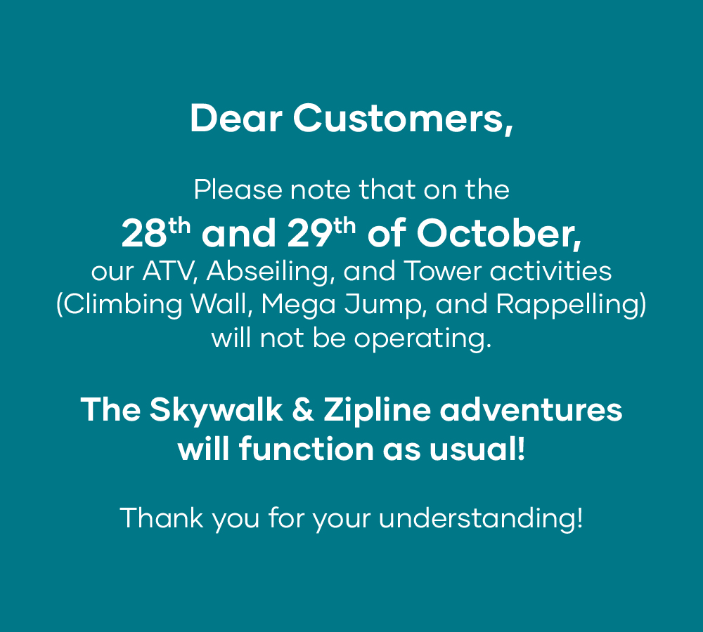 Things to Do in Ella | Flying Ravana | Zip Line Sri Lanka